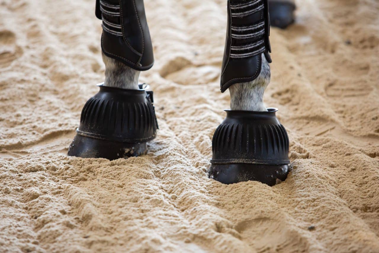 Non-Fibered ThorTurf - ThorTurf Synthetic Dustless Arena Footing