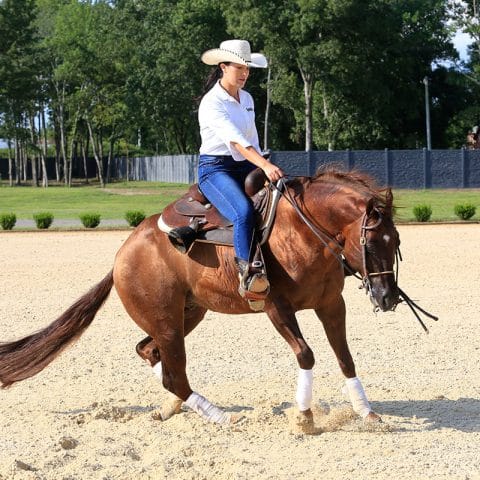 ProTurf - ThorTurf Synthetic Dustless Arena Footing